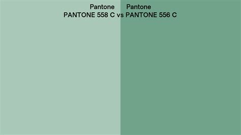 Pantone 558 C Vs Pantone 556 C Side By Side Comparison