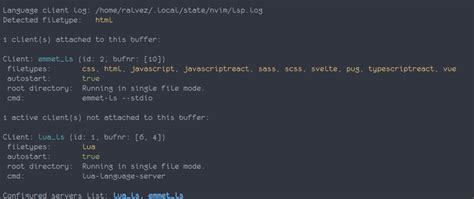 Emmet Ls Issues Neovim Lua Mason Rnvim