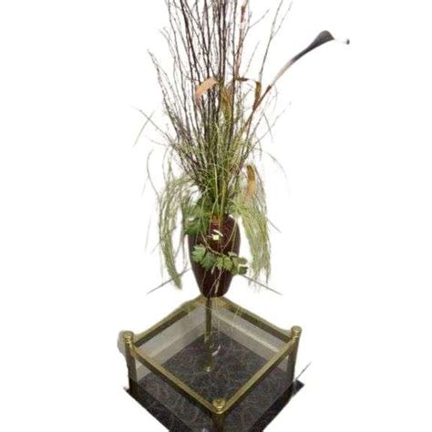 Glass Table With Plot And Plant Bartkus Auctioneers