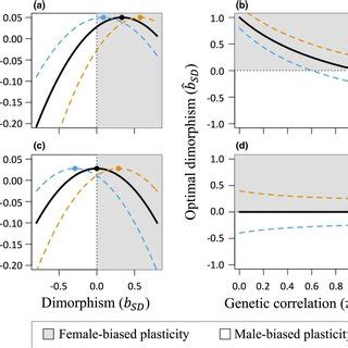 Effects Of Sexual Dimorphism In Plasticity On The Steadystate Download Scientific Diagram