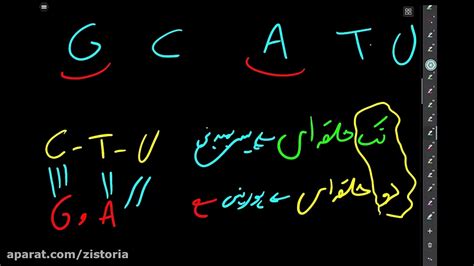 آموزش کامل فصل اول زیست دوازدهم جلسه دوم