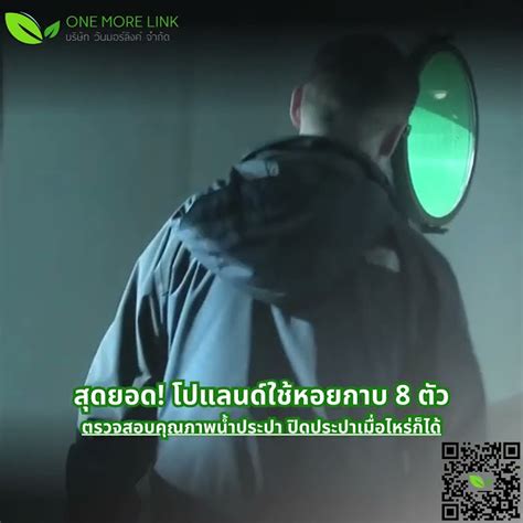 สุดยอด โปแลนด์ใช้หอยกาบ 8 ตัวตรวจสอบคุณภาพน้ำประปา Onemorelink