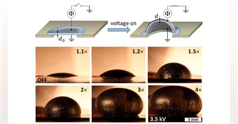 Freestanding Dielectric Elastomers Offer New Capabilities In Actuation