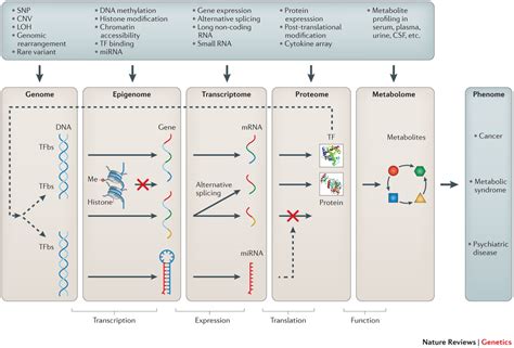 Big Data In Gene Expression Profiling