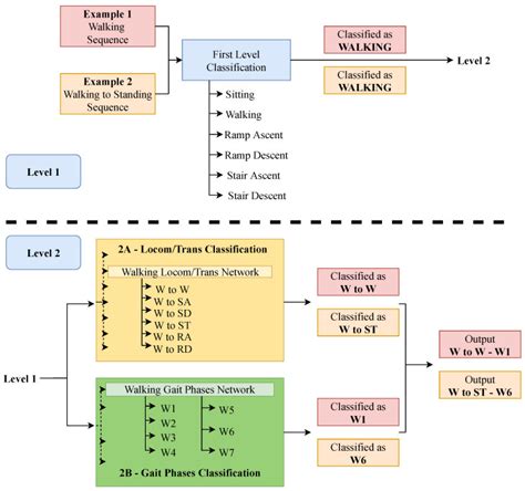 Imu Based Classification Of Locomotion Modes Transitions And Gait Phases With Convolutional