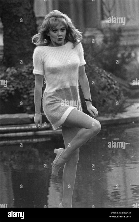 Elaine Taylor Banque De Photographies Et Dimages à Haute Résolution