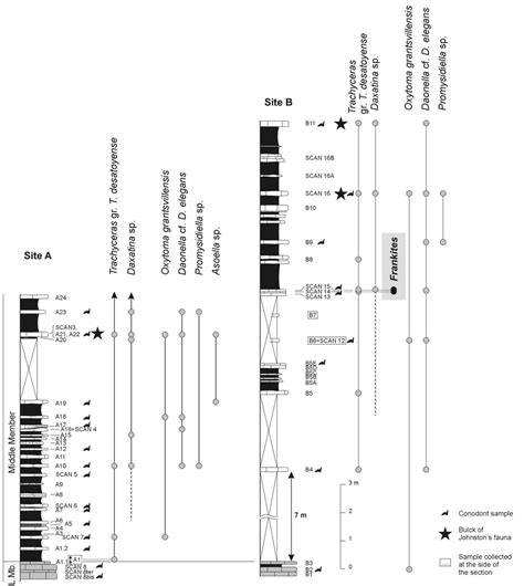 Sites A And B Stratigraphic Sections With The Distribution Of Some Download Scientific Diagram