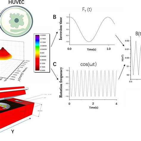 Characterization Of Rotating Magnetic Field And Experimental Setup A Download Scientific