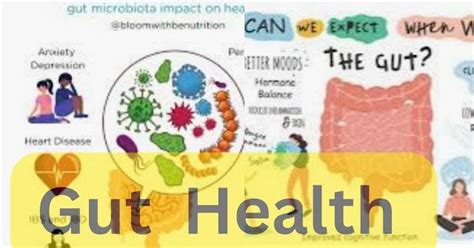 Surprising Secrets Of Gut Health A Comprehensive Guide💥💥😊😃💥 By Fazal Naeem Apr 2024 Medium