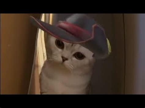 завертин в шляпе - YouTube