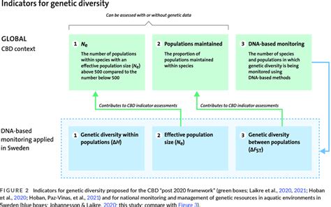 These Indicators Are Pragmatic And Designed To Be Applicable At A