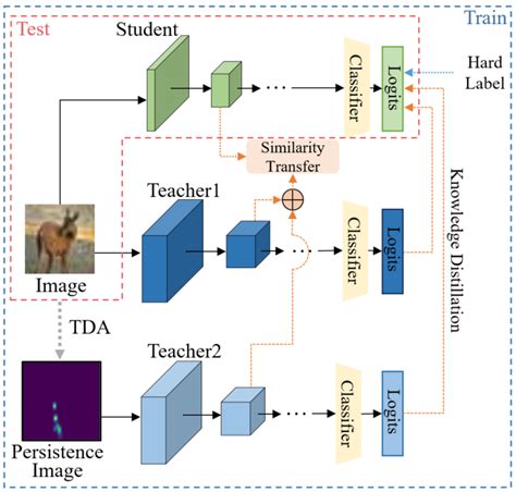 leveraging topological guidance for improved knowledge distillation
