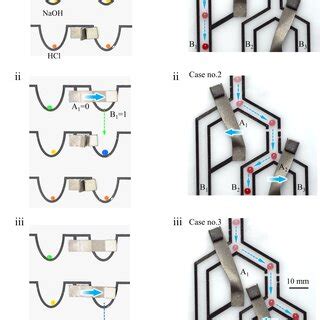 Programmable Fluidics With Selective And Reconfigurable Manipulation Download Scientific