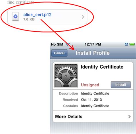 Import Your Comodo Personal Authentication Certificate Using Iphone