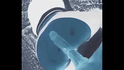 X Ray Ish Sex Hott Xnxx Com