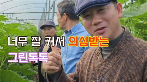 130 너무 잘커서 의심받는 그린톡톡 천연비료 무농약 식물영양제 액비만드는방법 미생물 베란다텃밭 천연액비 퇴비 식물살충제 친환경 비료 유기농 식집사