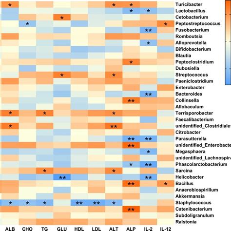 Heatmap Of The Spearman R Correlations Between The Gut Microbiota
