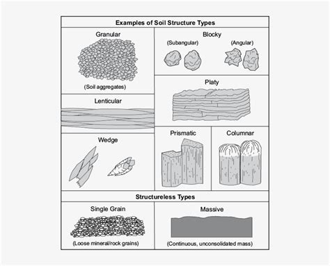 Download Examples Of Soil Structure Types Soil Structure Types Transparent PNG Download