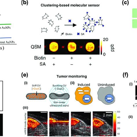 Detection And Analysis Of Extracellular Vesicles A An Saw Sensor