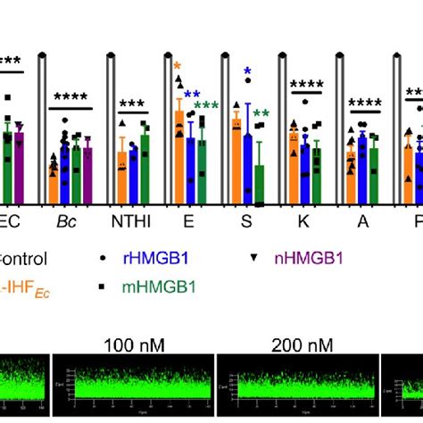Summary Of Binding Constants Of Hmgb1 Binding To Dnabii Proteins And Hj Dna Download