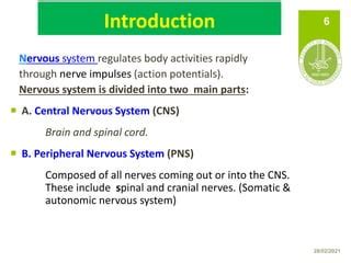 Effect Of Exercise On Pulse Rate PPTX