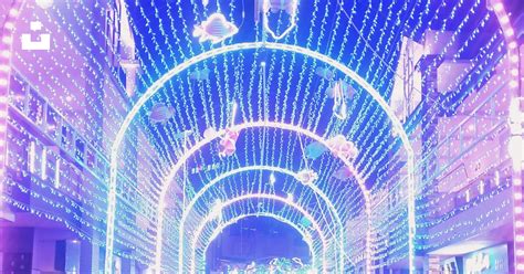 파란색과 분홍색 네온 스트링 조명 사진 Unsplash의 무료 파랑 이미지