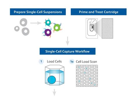 Single Cell Multiomics