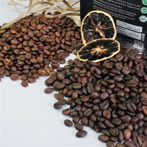 Arabica Và Robusta Khác Nhau Thế Nào Tìm Hiểu 2 Loại Hạt Cà Phê Phổ