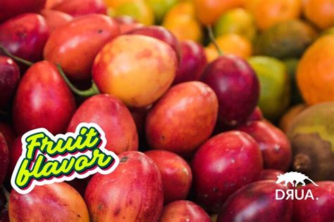 Drua 메데인 Drua의 리뷰 트립어드바이저