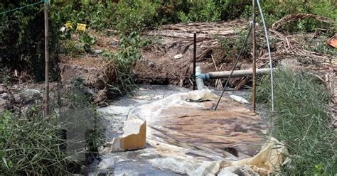 Ki M Tra Vi C S D Ng H M Biogas Tr N To N T Nh C Mau