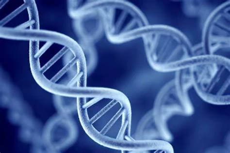 How Does Cloning Works TECHOGB