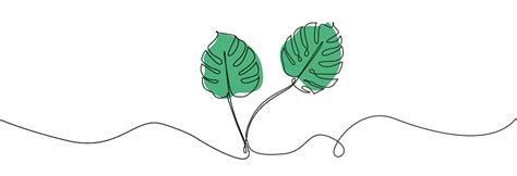 몬스테라 리프 라인 아트 열대 잎 한 줄 그리기 열대 몬스테라 잎의 연속 선 그리기 단 하나 1개의 선 잎 몬스테라 개요 스케치