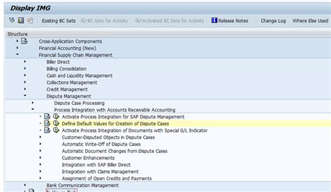 Solved Not Getting Dispute Case Related Fields In FBL N SAP Community