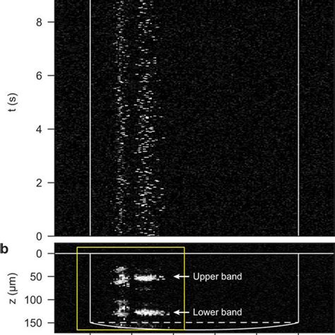 Sd Oct Flow Image Of Microsphere Blend At Volumetric Flow Rate Of
