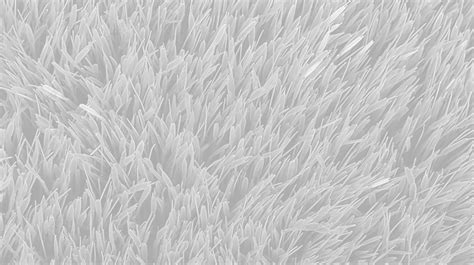 무성한 녹색 잔디는 자연 애호가를 위한 질감과 배경입니다 녹색 잎 녹색 식물 잔디 질감 Png 일러스트 및 이미지 에 대한 무료 다운로드 Pngtree