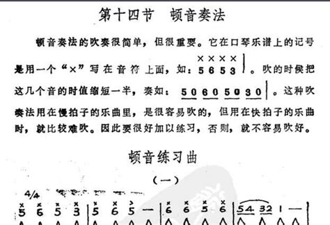 顿音奏法 快懂百科