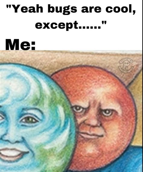 A Small Collection Of Bug Memes Rinsects