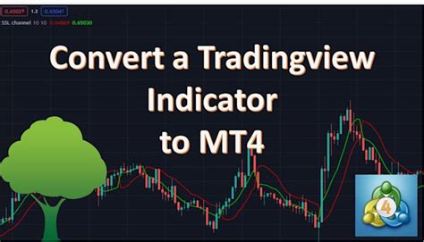 Code Mt4 Mt5 Eas Bot Mt4 Mt5 Indicator Metatrader Mql4 Mql5 Pinescript Mt4 By Conade2 Fiverr