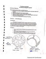 Lab Report 1 Pdf Course Hero