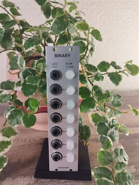 Grayscale Binary 2010 Reverb