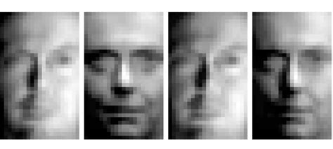 the synthesized images corresponding to the input images in the