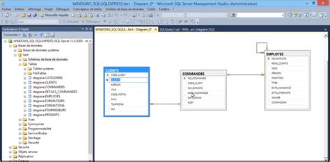 Formation Sql Gratuite Maîtrisez Le Langage Sql Pour Gagner En