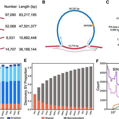 Pdf A Sheep Pangenome Reveals The Spectrum Of Structural Variations And Their Effects On Tail