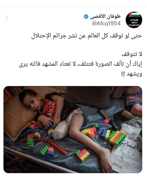 Mohamad Marzouq Gm Vp Clevel Director Consultant Nebosh Lssbb Cscp Tqm Mba On Linkedin