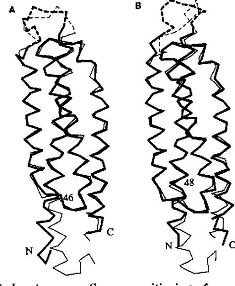 Figure 1 From The Three Dimensional Structure Of The Ligand Binding Domain Of A Wild Type