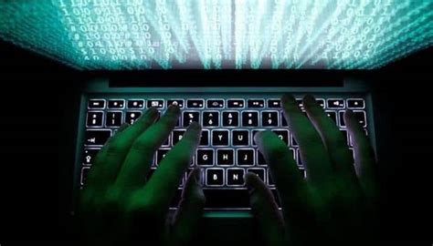 Unpatched Software Human Factor Behind Data Breaches F Secure Technology News Zee News