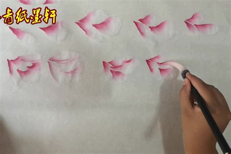 丹青纸墨轩第2节基础笔法侧缝行笔教程国画牡丹10种画法之二 凤凰网视频 凤凰网