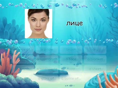 Level 1 M Ex4 P163 Find The Match