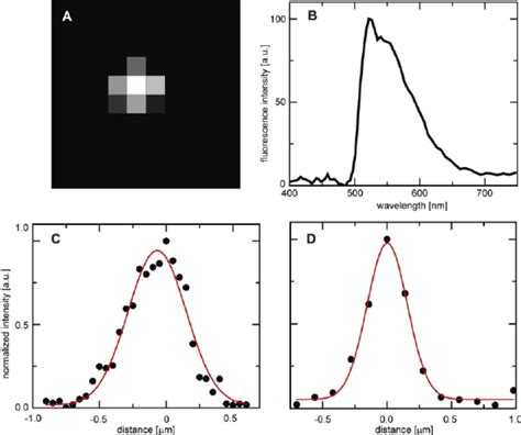 Point Spread Function Measurement A Lateral Section Of A 017 μm