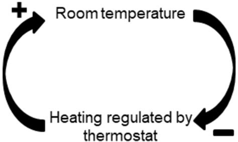 Qualitative Systems Mapping For Complex Public Health Problems A Practical Guide PMC